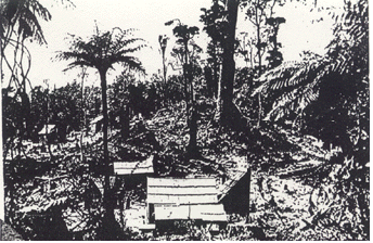 Petrus Bayer and Magdelena Lederer